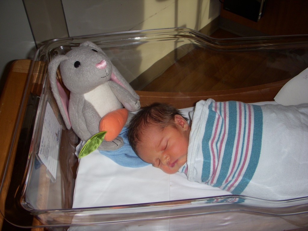 Coach Brian Bottcher’s new addition – Windy City Diving